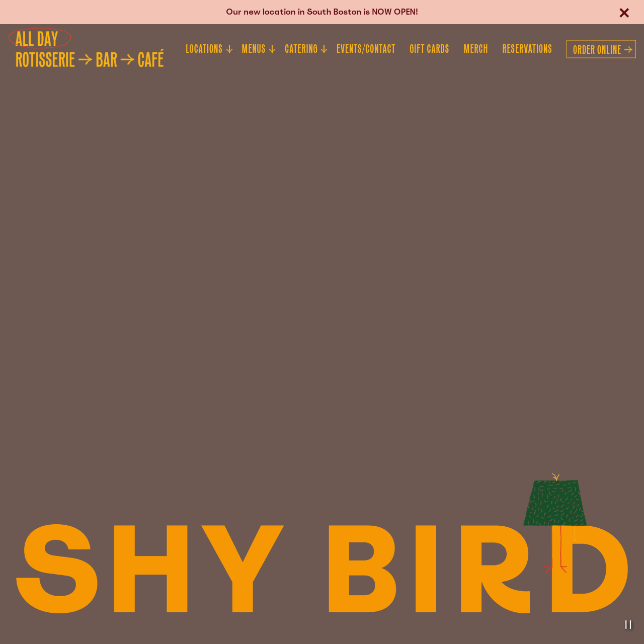 Shy Bird